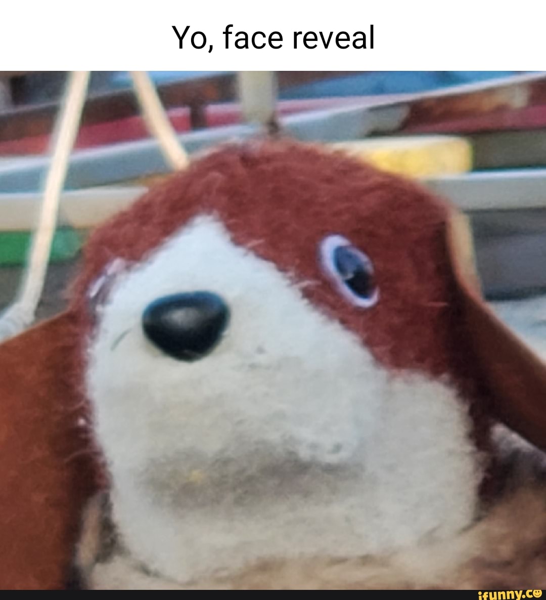 Yo, face reveal - iFunny
