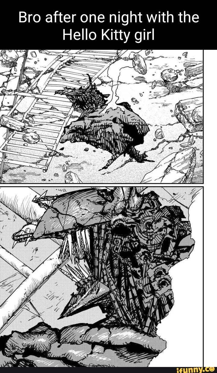 Bro after one night with the Hello Kitty girl - iFunny