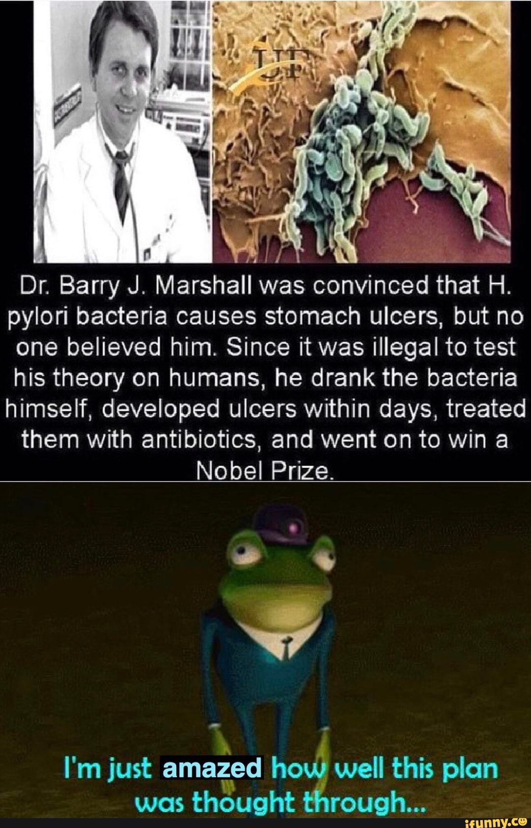 Dr. Barry J Marshall was convinced that H. pylori bacteria causes ...