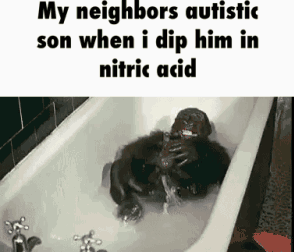 My neighbors autistic son when i dip him in nitric acid - iFunny