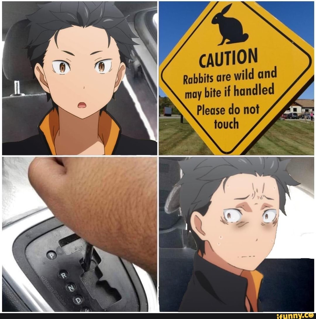 Aw CAUTION Rabbits are wild and may bite if handled Please do not - iFunny