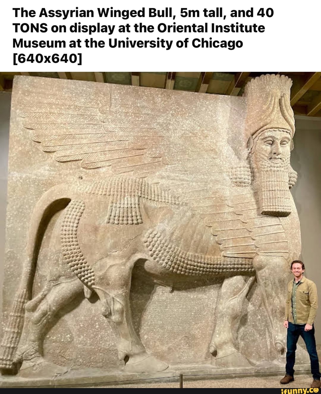 The Assyrian Winged Bull, tall, and 40 TONS on display at the Oriental ...