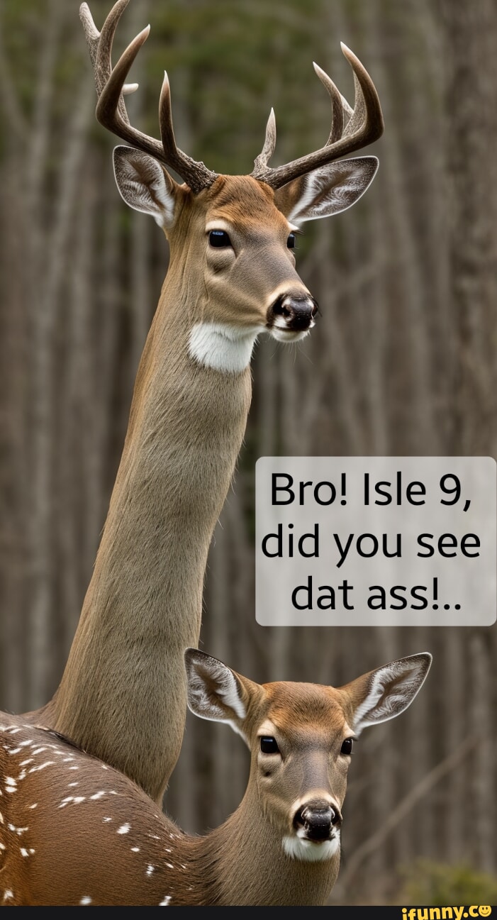 Isle memes. Best Collection of funny Isle pictures on iFunny