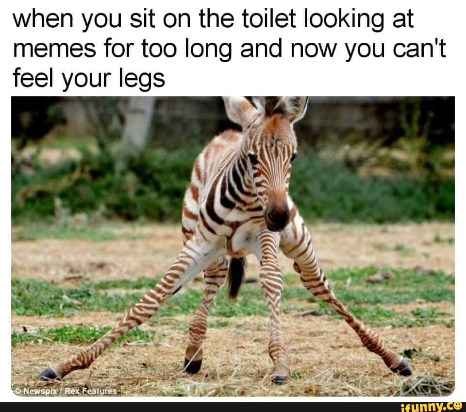When you sit on the toilet looking at memes for too long and now you ...