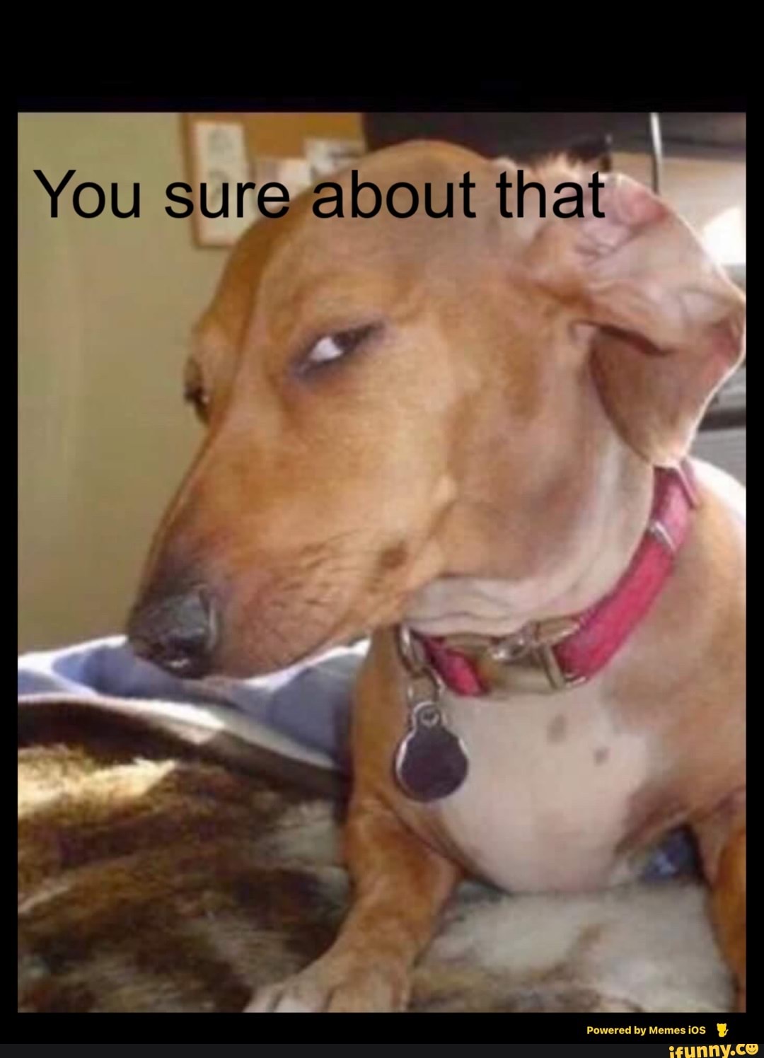 You Sure about that Powered byMemesios - iFunny