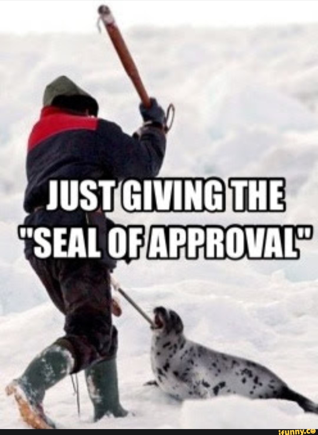 Sealofapproval memes. Best Collection of funny Sealofapproval pictures ...
