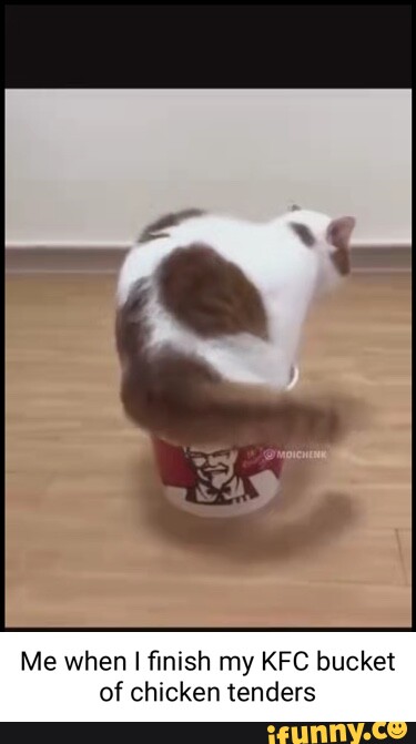 Bucket memes. Best Collection of funny Bucket pictures on iFunny