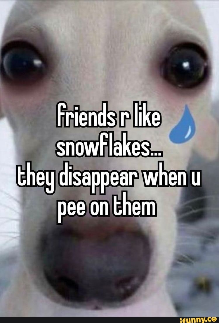 Snowflakes memes. Best Collection of funny Snowflakes pictures on iFunny