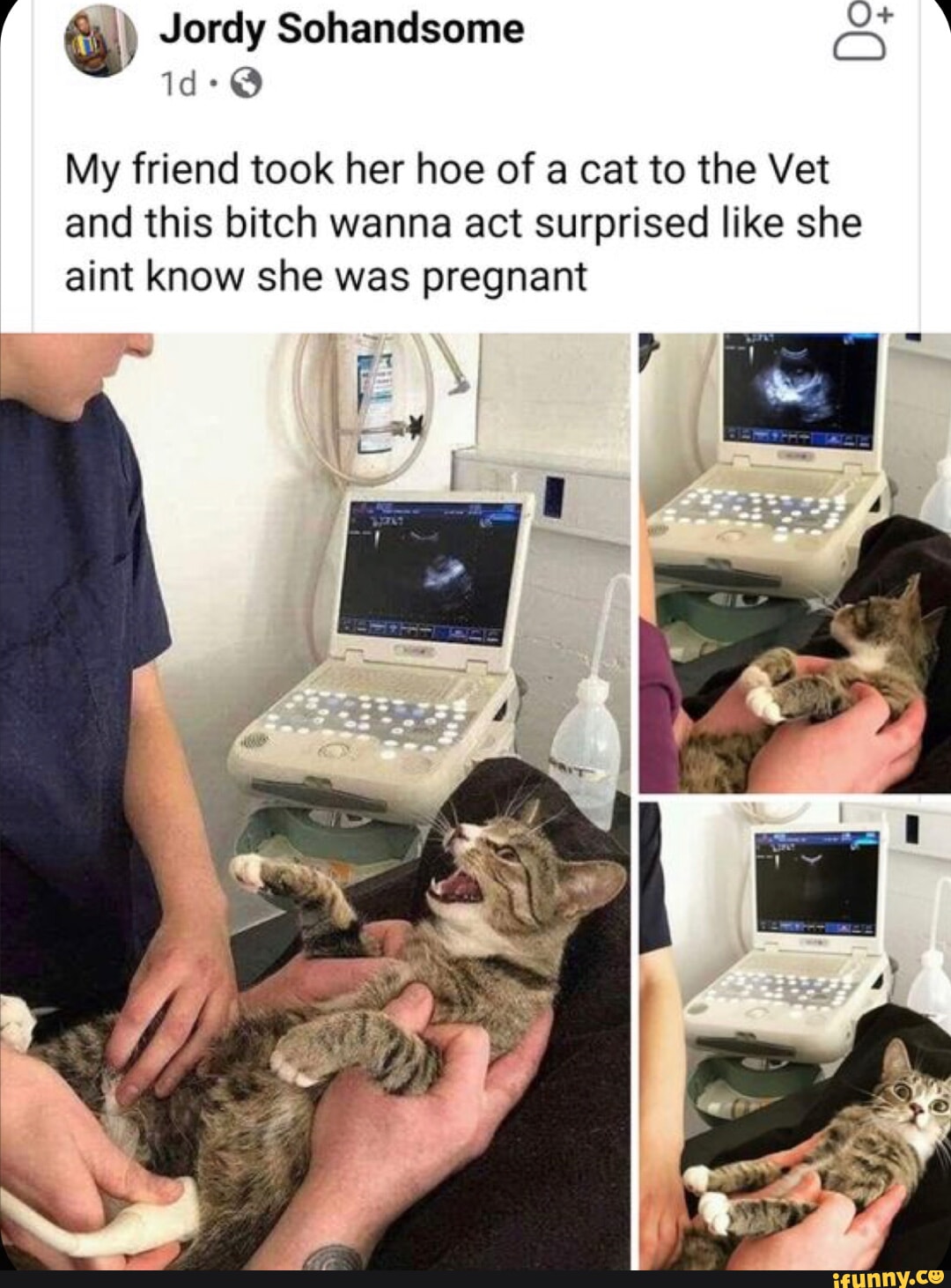 Sohandsome aged My friend took her hoe of a cat to the Vet and this ...