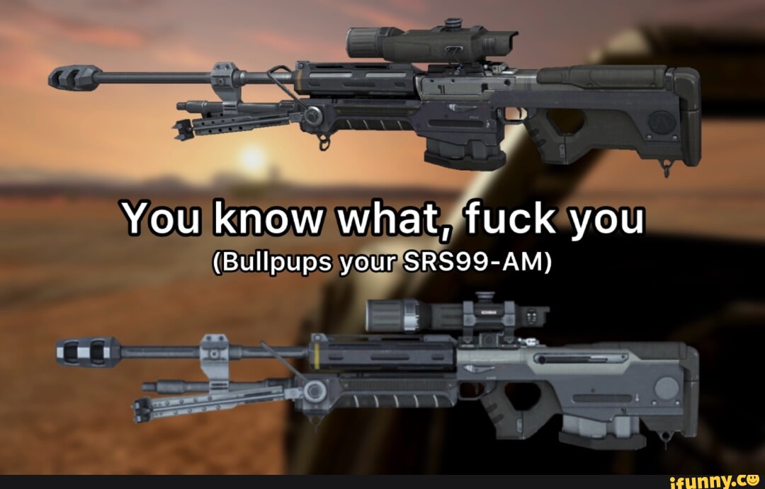 Bullpup memes. Best Collection of funny Bullpup pictures on iFunny