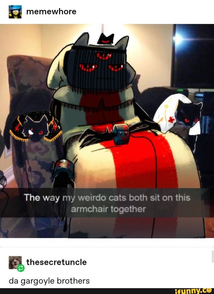 Memewhore The way my weirdo cats both sit on this armchair together I ...