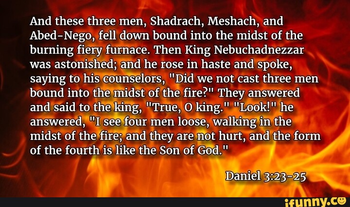 And these three men, Shadrach, Meshach, and Abed- fell down bound into ...