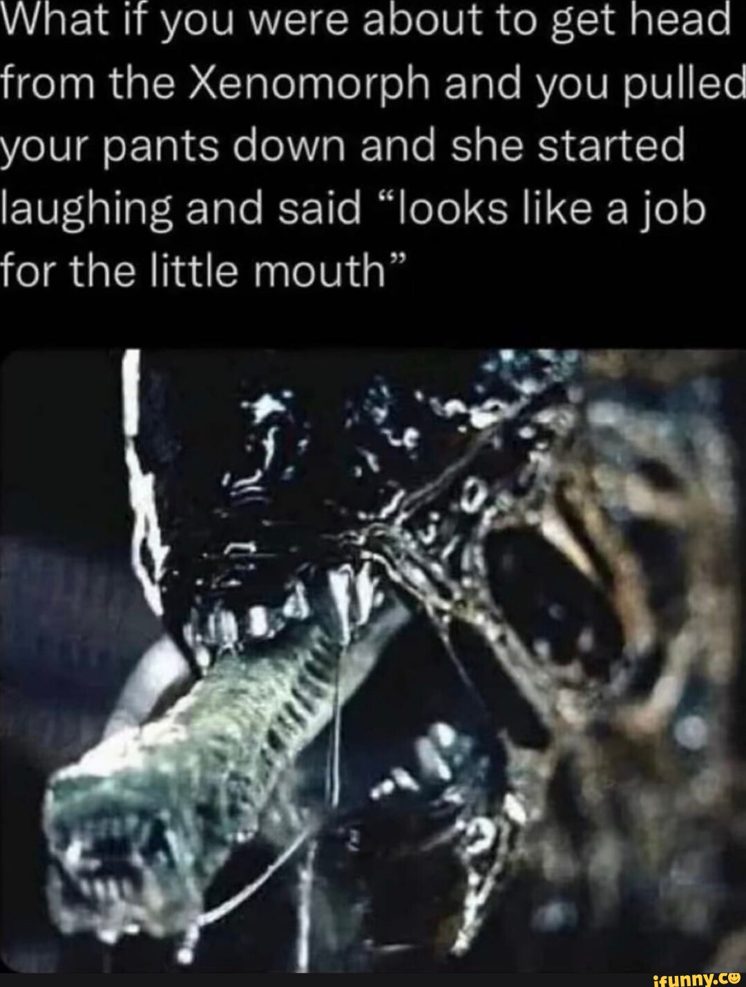 Xenomorph memes. Best Collection of funny Xenomorph pictures on iFunny