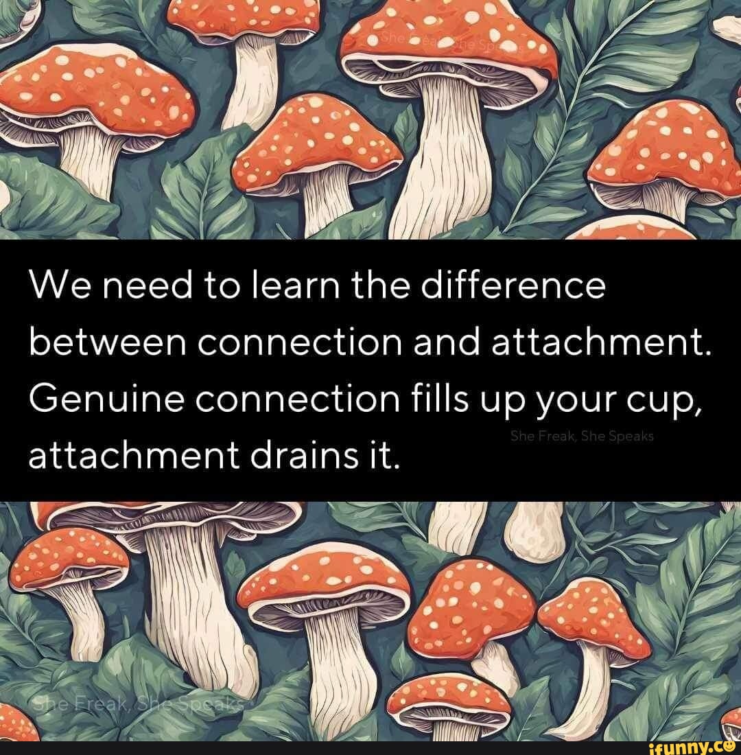 We need to learn the difference between connection and attachment ...