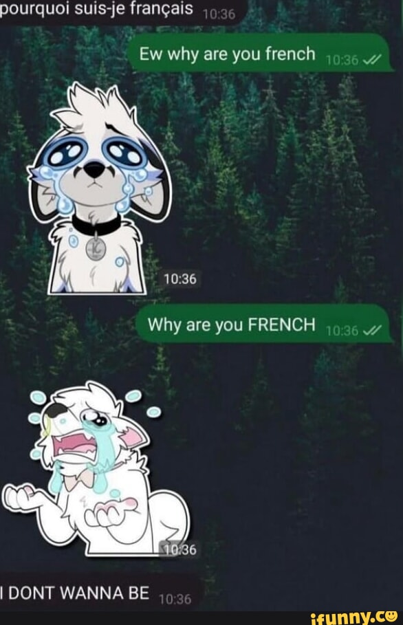 French memes. Best Collection of funny French pictures on iFunny
