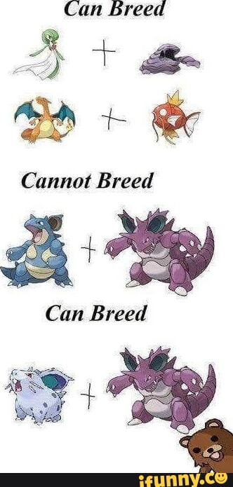 Can Breed At de Cannot Breed Can Breed - iFunny