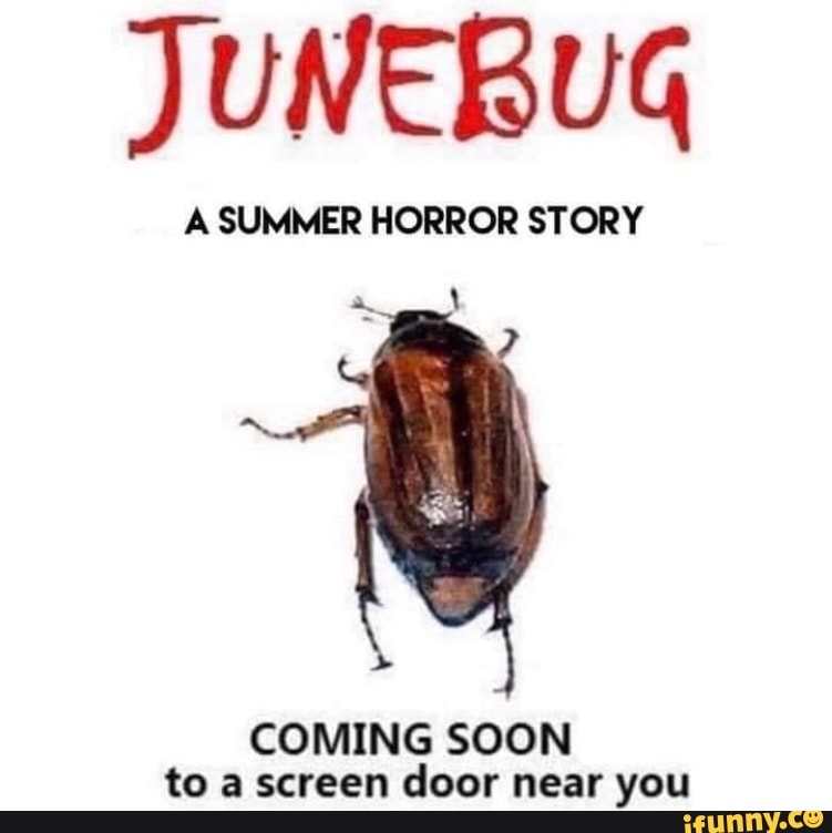 JUNEBUG A SUMMER HORROR STORY COMING SOON to a screen door near you ...