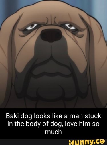 Baki dog looks like a man stuck in the body of dog, love him so much ...