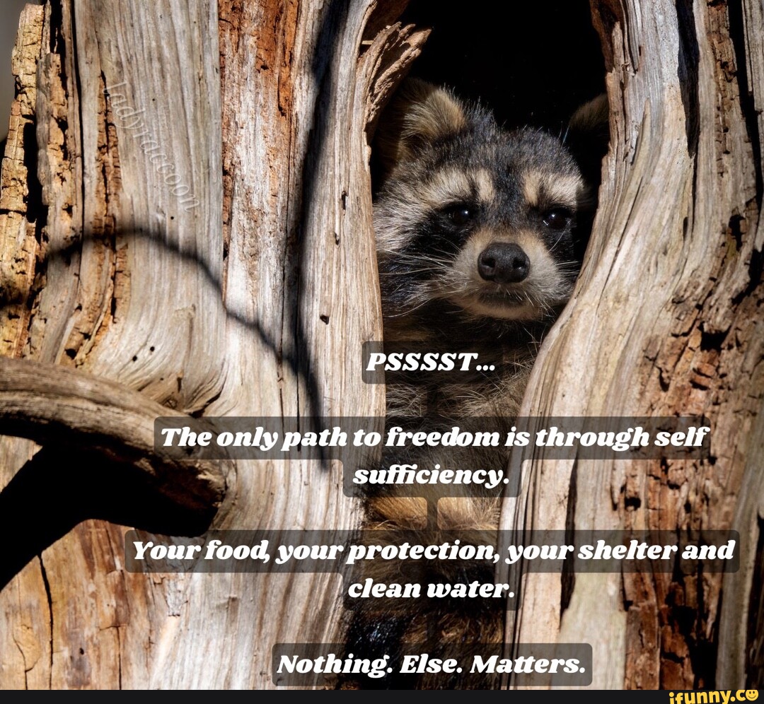 Sufficiency memes. Best Collection of funny Sufficiency pictures on iFunny