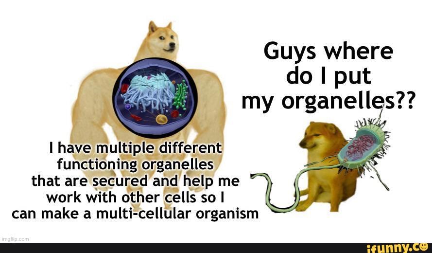 Organelles memes. Best Collection of funny Organelles pictures on iFunny