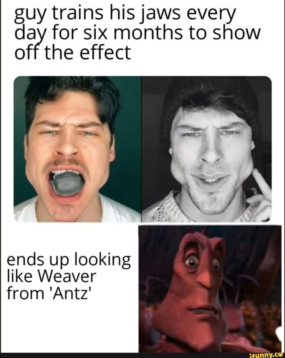 Antz memes. Best Collection of funny Antz pictures on iFunny