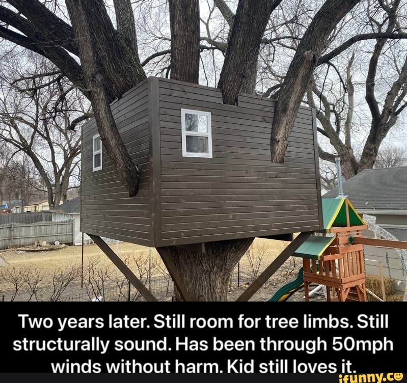 Two years later. Still room for tree limbs. Still structurally sound ...