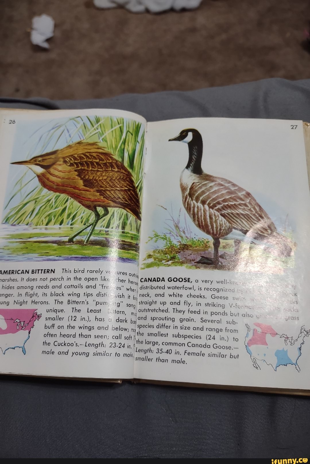 Aistil memes. Best Collection of funny Aistil pictures on iFunny