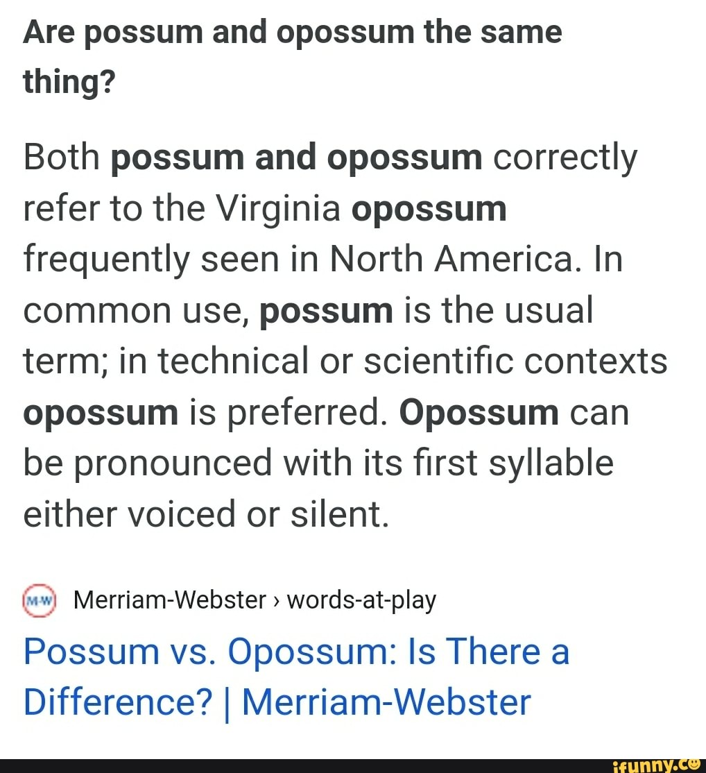 Are possum and opossum the same thing? Both possum and opossum ...