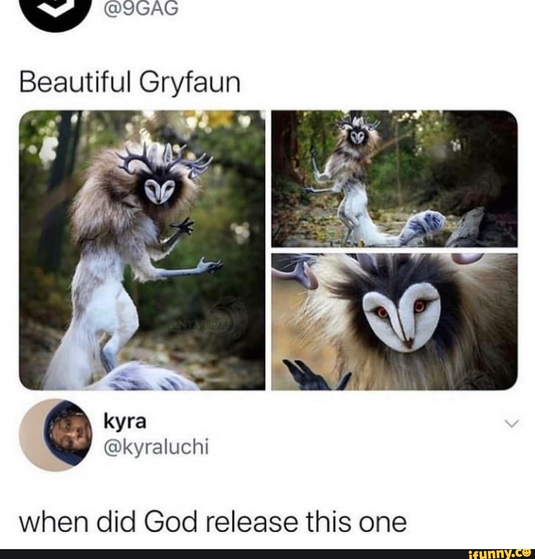 Y @YGAG Beautiful Gryfaun when did God release this one - iFunny
