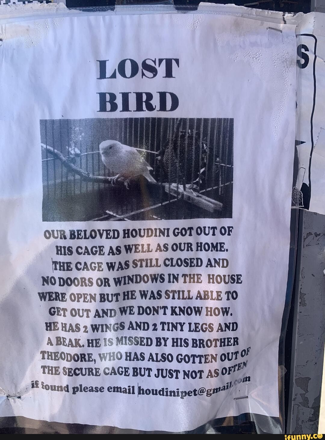 Houdini memes. Best Collection of funny Houdini pictures on iFunny