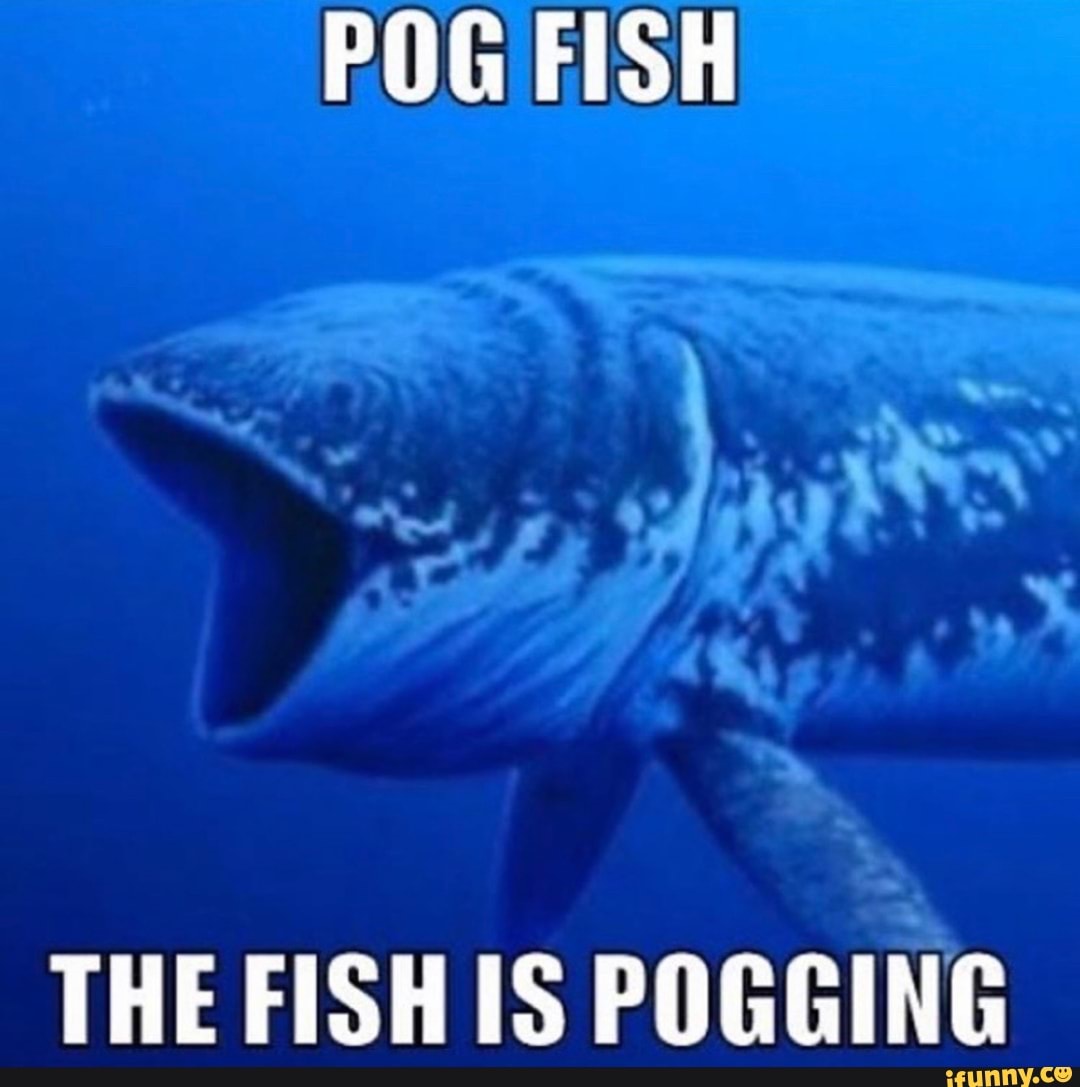 POG FISH THE FISH IS POGGING - iFunny