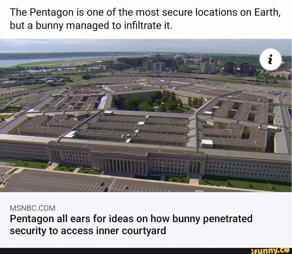 The Pentagon is one of the most secure locations on Earth, but a bunny ...