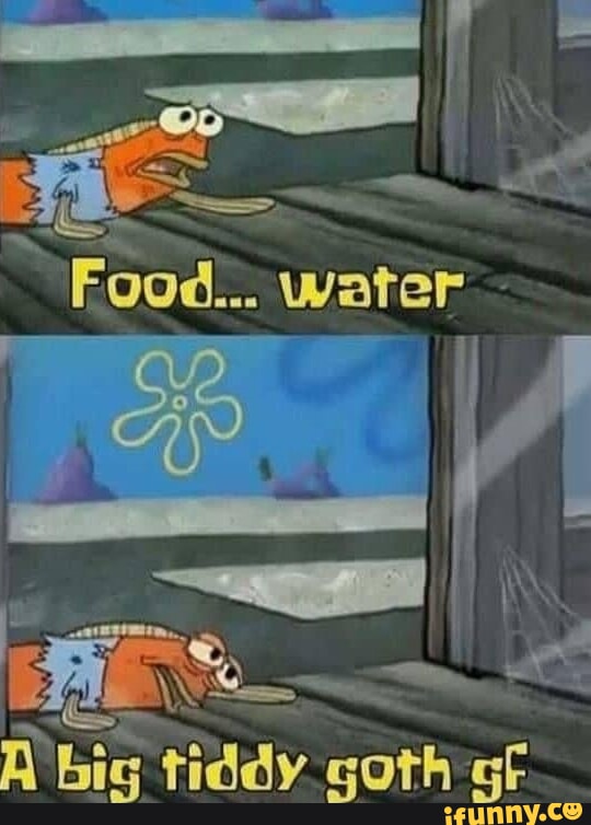 Food... water A big tiddy of - iFunny