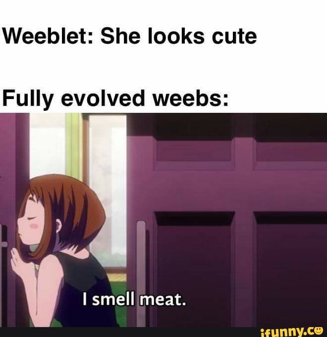Weeblet: She looks cute Fully evolved weebs: Y smell - iFunny