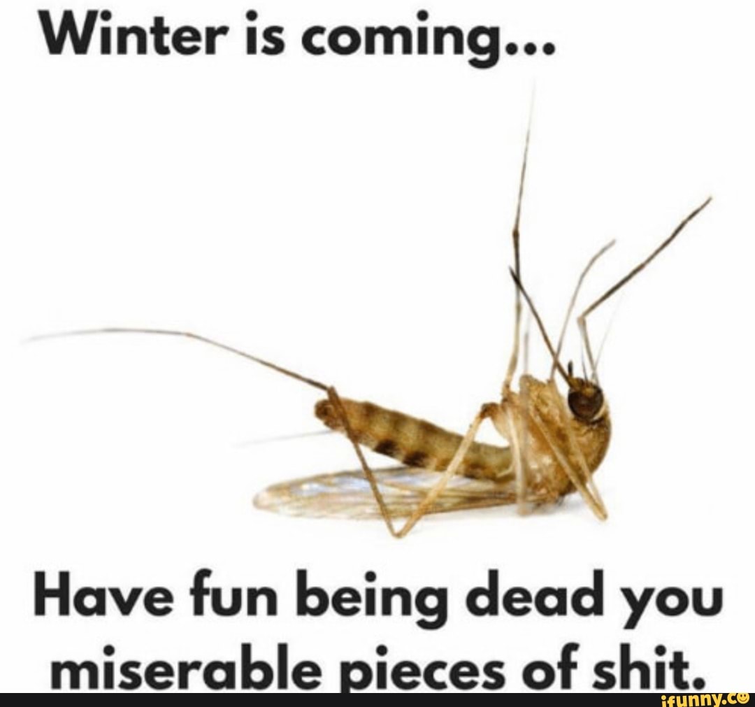 Winter is coming... Have fun being dead you miserable pieces of shit ...