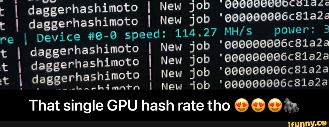 Daggerhashimoto memes. Best Collection of funny Daggerhashimoto ...