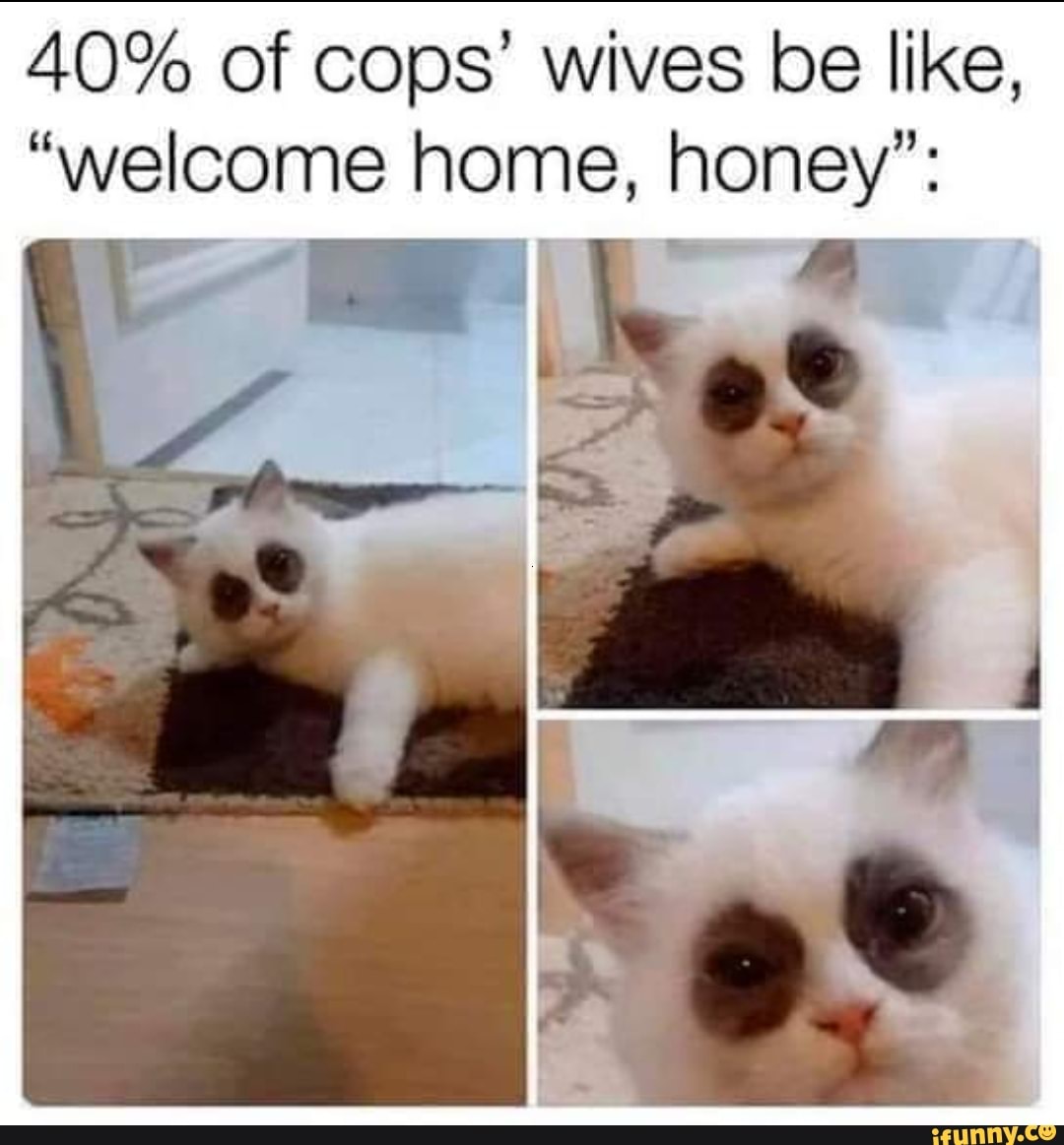 40% of cops' wives be like, "welcome home, honey": - iFunny