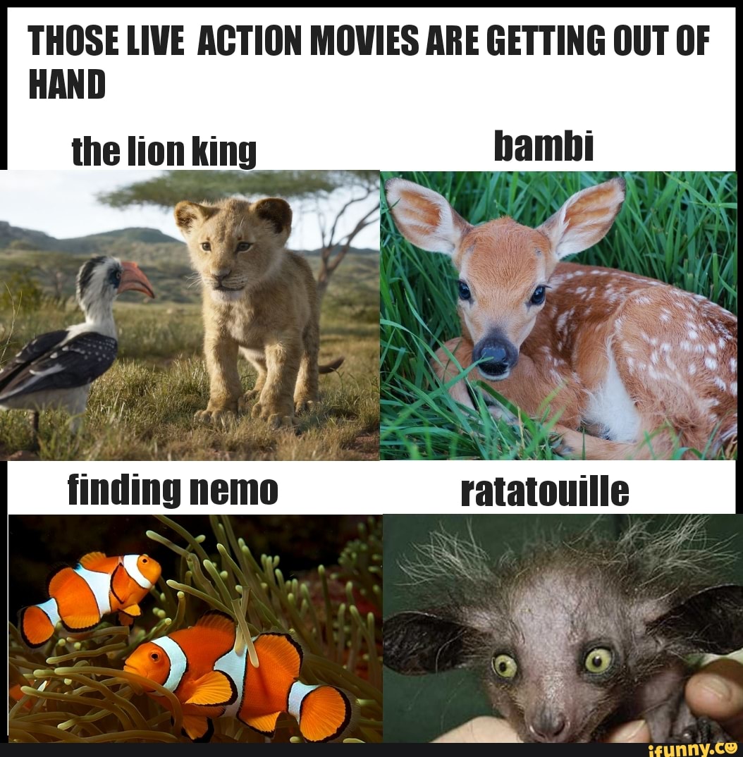THOSE LIVE ACTION MOVIES ARE GETTING OUT OF HAND the lion king finding ...