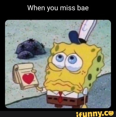 Missing Bae Memes
