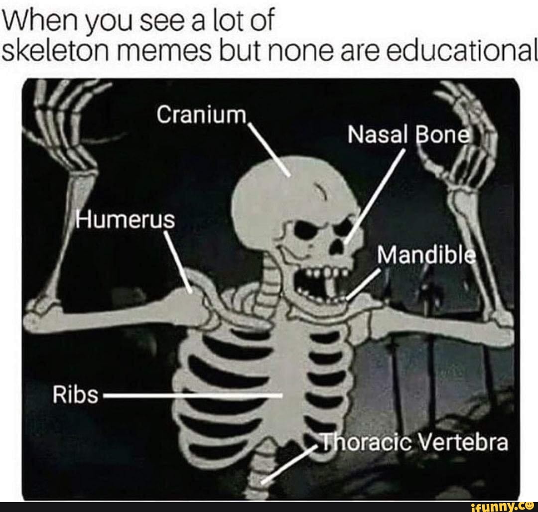 Cranium memes. Best Collection of funny Cranium pictures on iFunny