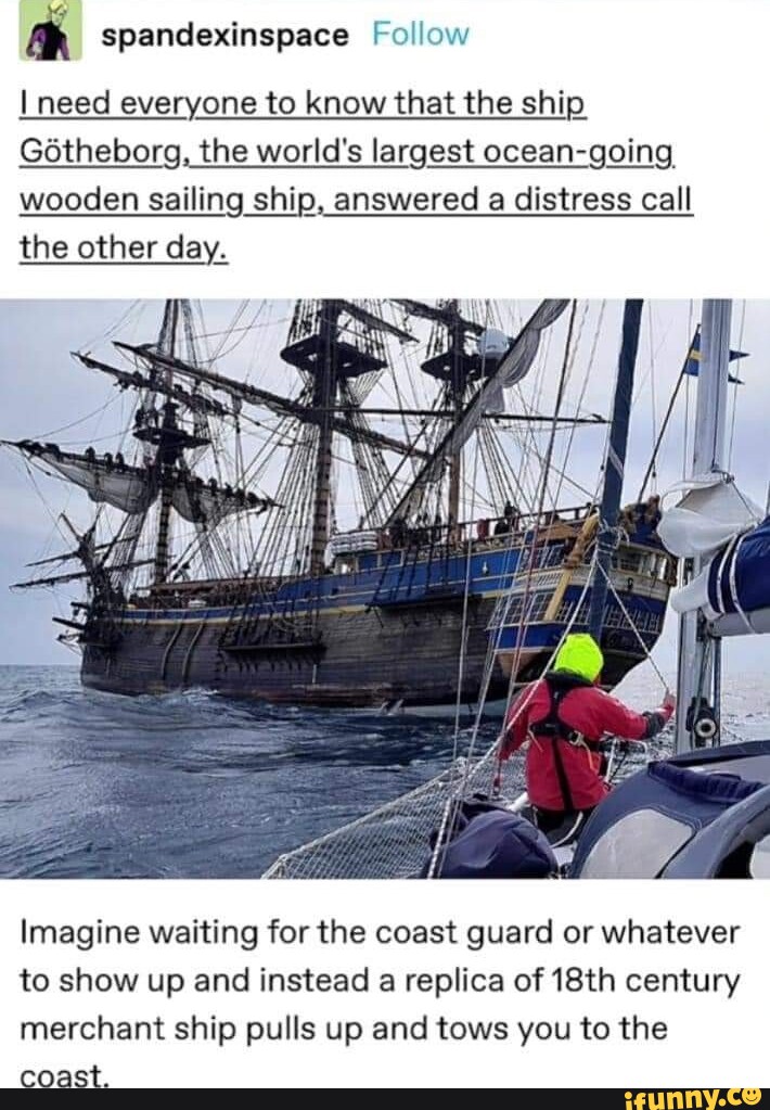 This rare orchid known as the "flower of the Holy Spirit" only blooms ...