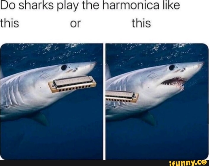Harmonica memes. Best Collection of funny Harmonica pictures on iFunny