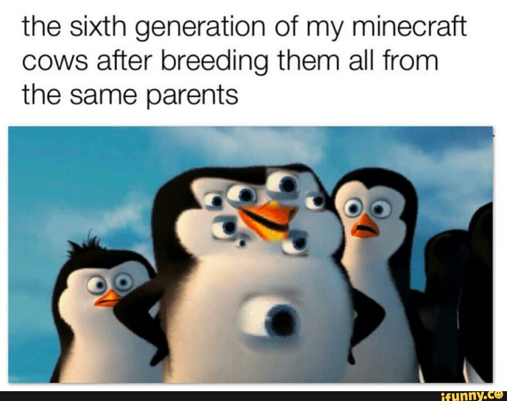 The sixth generation of my minecraft cows after breeding them all from ...