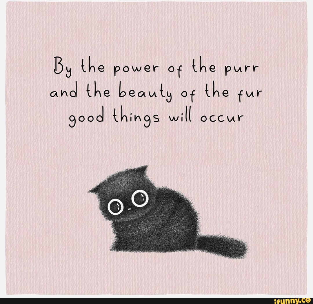 By the power of the purr and the beauty of the fur good things will ...