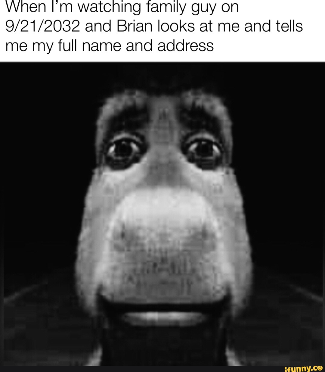 When I'm watching family guy on and Brian looks at me and tells me my ...