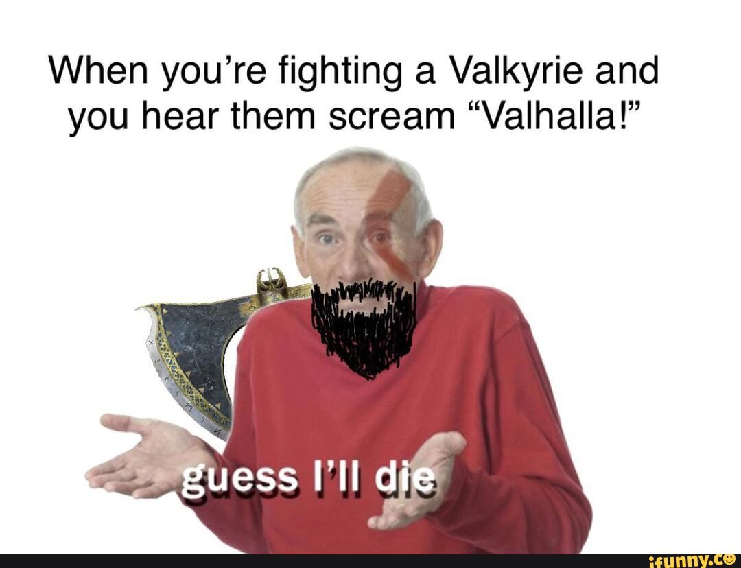 When you're fighting a Valkyrie and you hear them scream "Valhalla ...