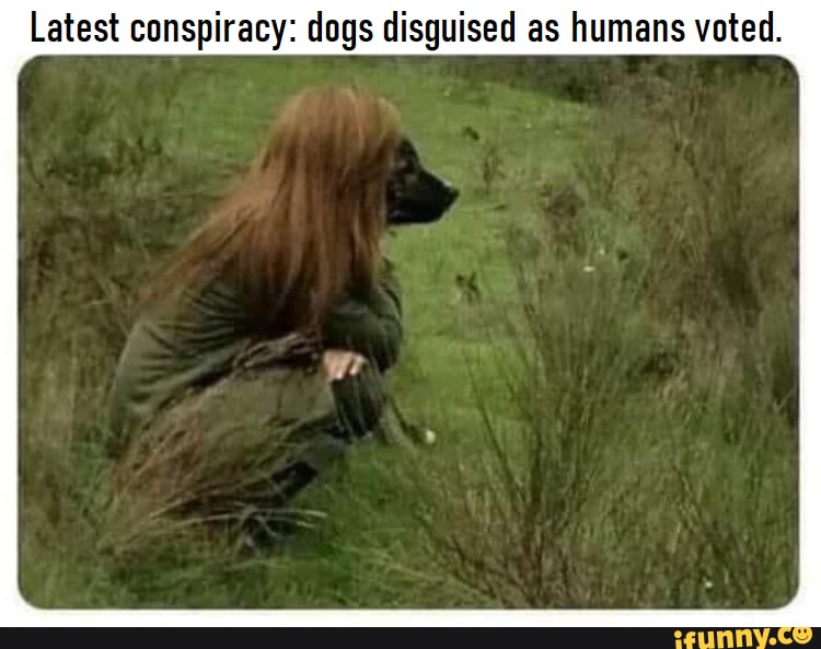 Latest conspiracy: dogs disguised as humans voted. - iFunny