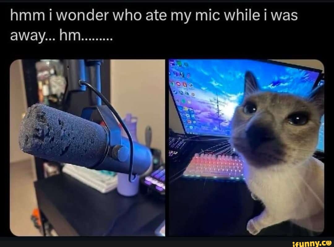 Hmm i wonder who ate my mic while i was - iFunny