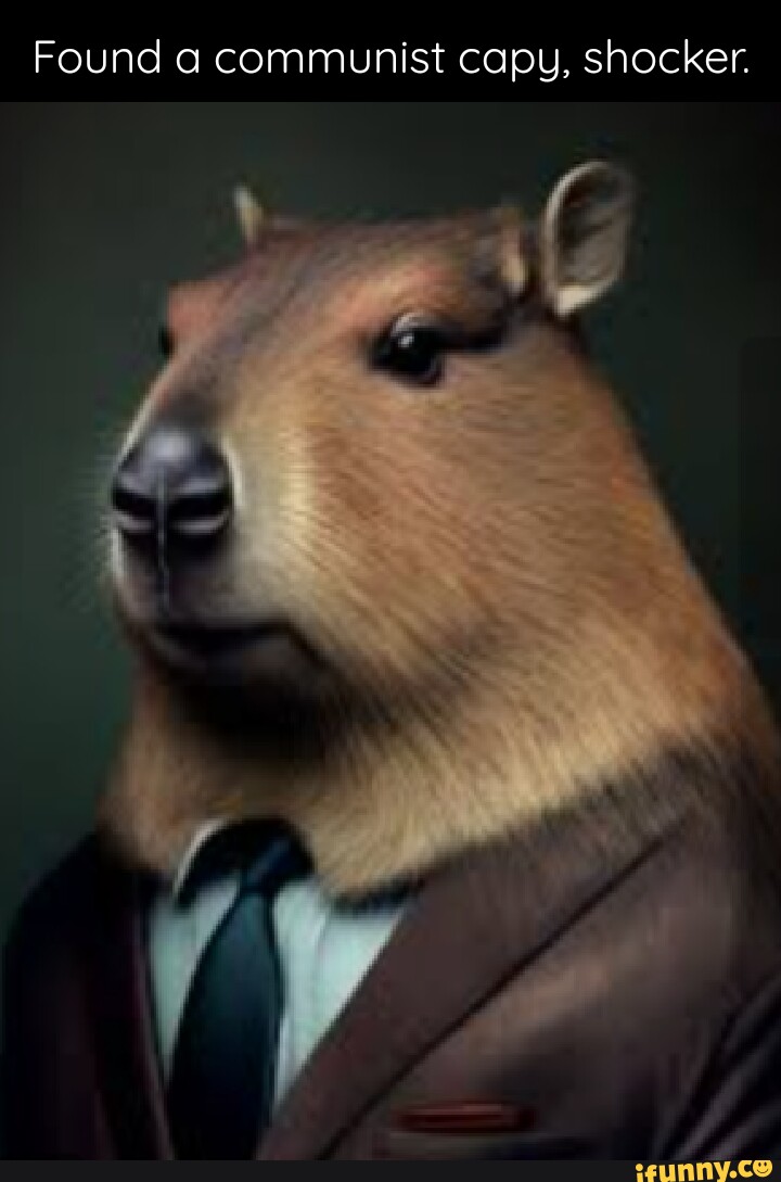 Capy memes. Best Collection of funny Capy pictures on iFunny