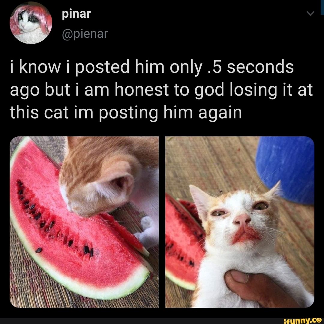 @pienar i know i posted him only .5 seconds ago but i am honest to god ...